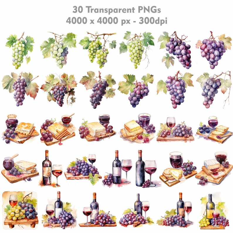 30 Grapes and Wine Designs in Watercolor | Country Vineyard Deli ...