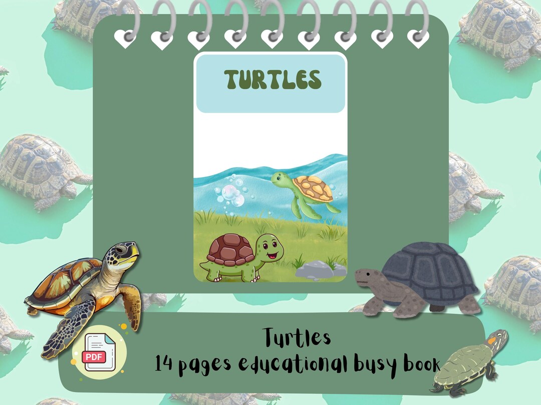 Turtles Printable Busy Book, Educational PDF, Learning Binder. Sea ...