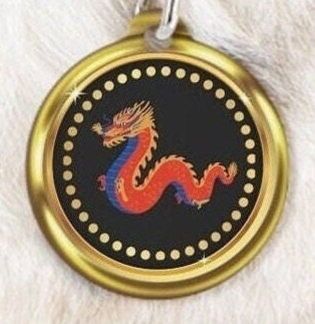 Personalized Dog Name Tag, Protection Amulet for Dog or Cat, Custom Pet ...