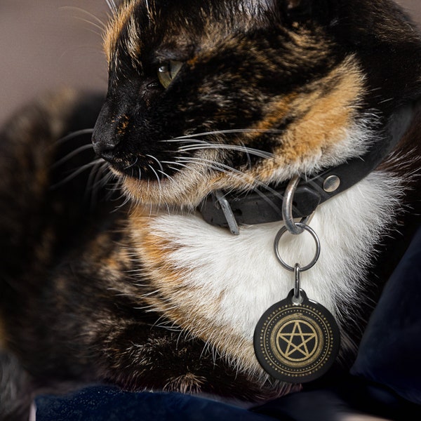 Pentagram Cat Tags - Etsy UK