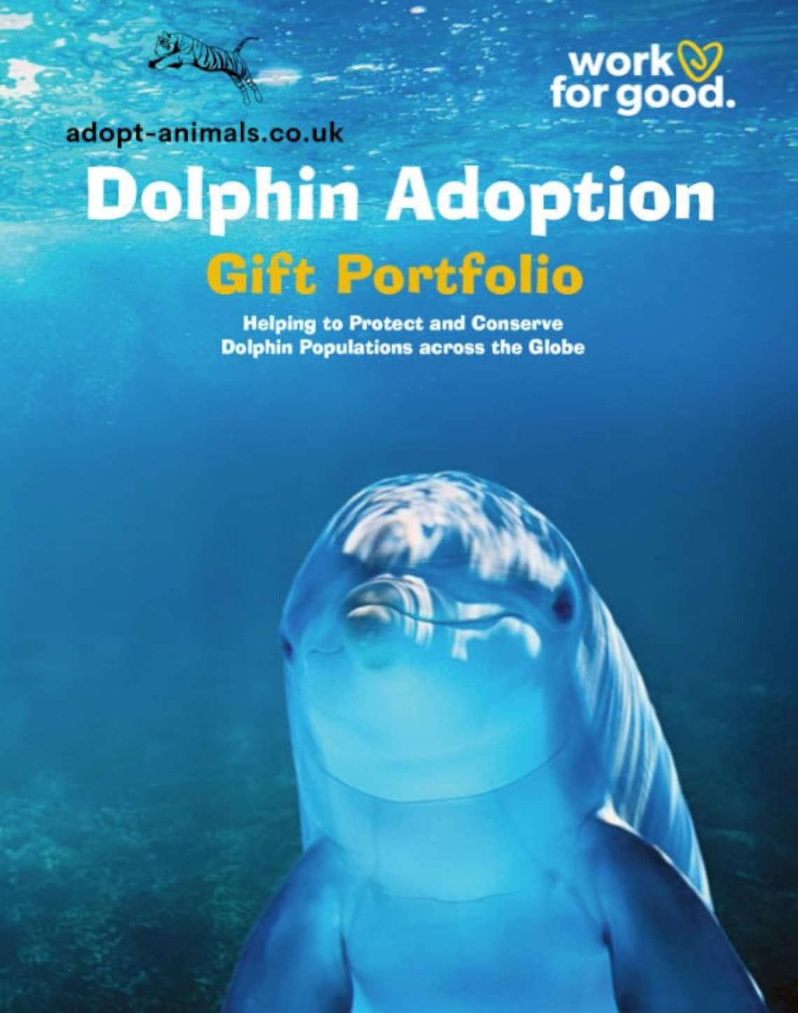Adopt a Dolphin Gift Package With Unique Adoption Certificate & Charity ...