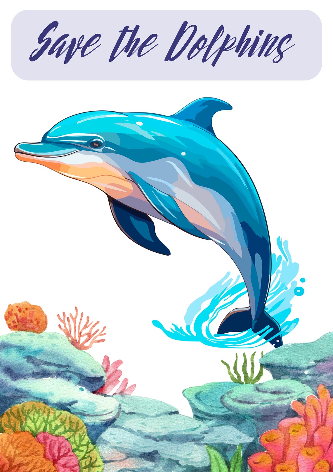 Adopt a Dolphin Gift Package With Unique Adoption Certificate & Charity ...