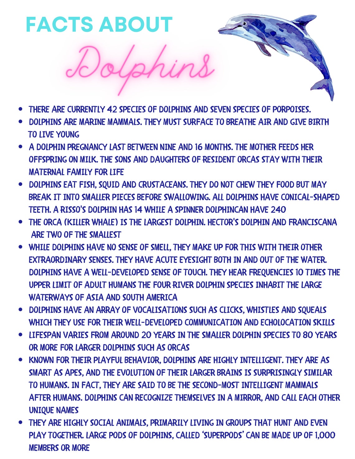 Adopt a Dolphin Gift Package With Unique Adoption Certificate & Charity ...