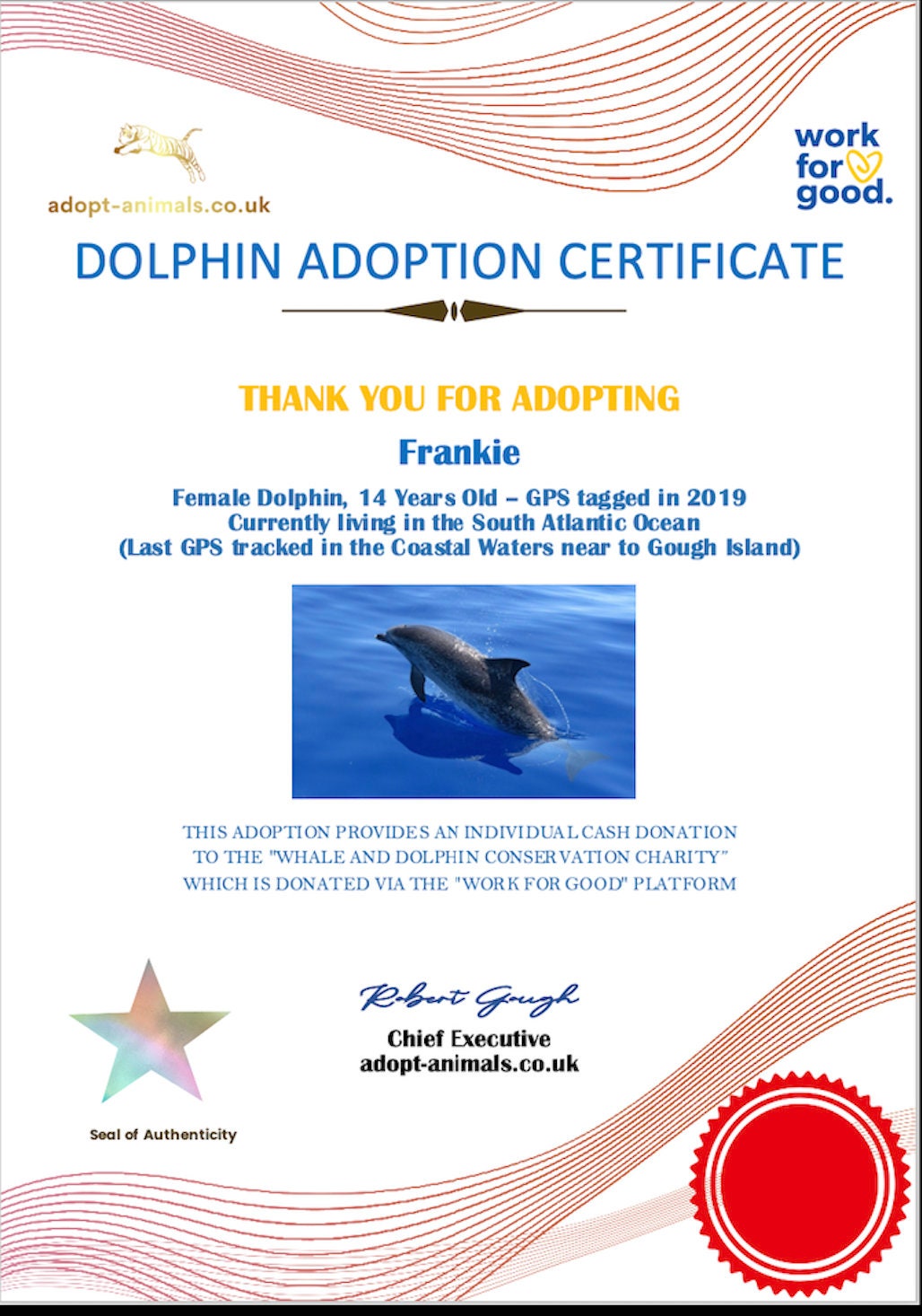 Adopt a Dolphin Gift Package With Unique Adoption Certificate & Charity ...
