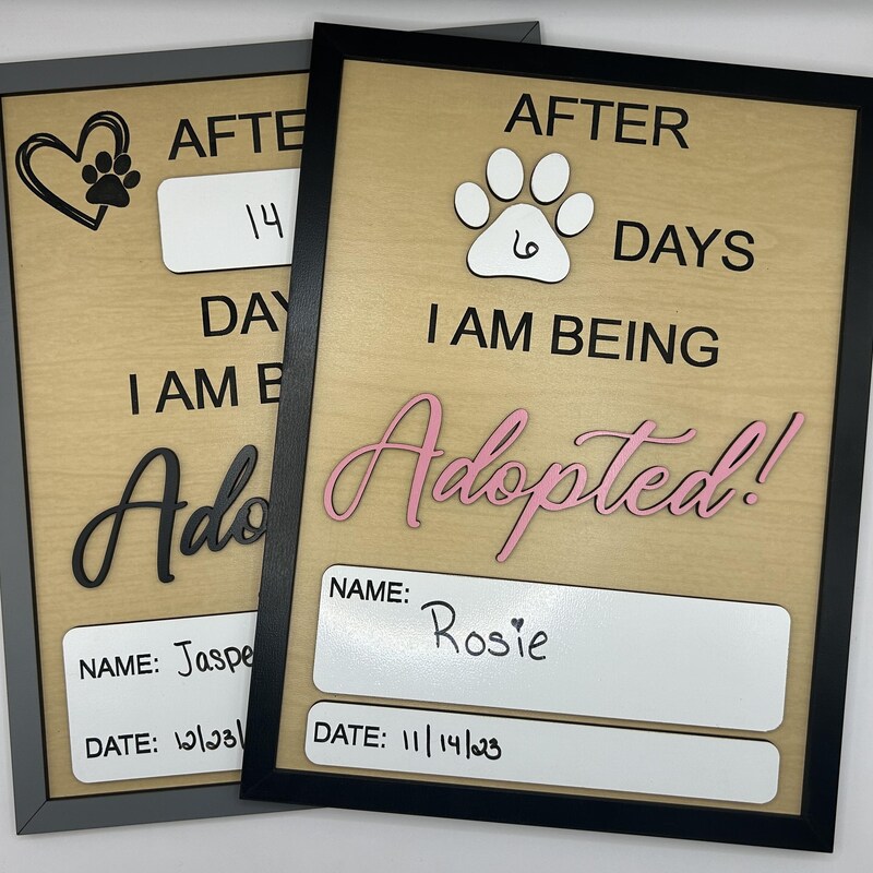 Cat Adoption Card - Etsy
