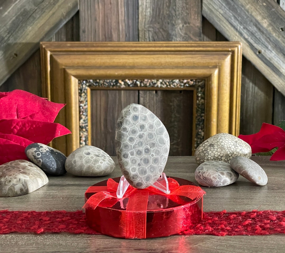 Premium Large Petoskey Stone Paperweight - Etsy