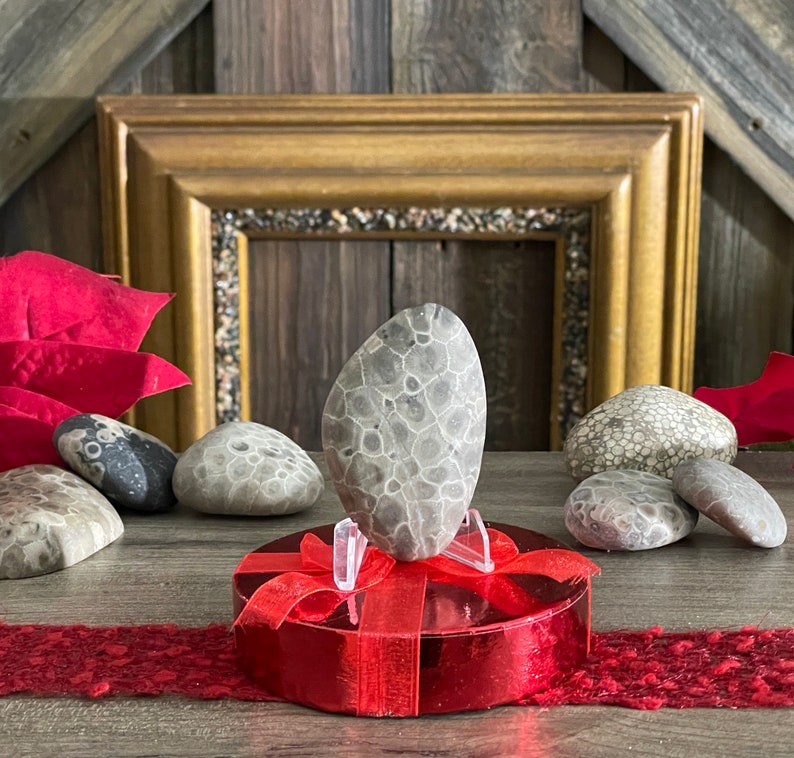 Premium Large Petoskey Stone Paperweight - Etsy
