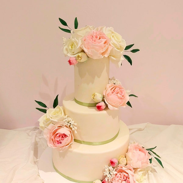 David Austin Roses - Etsy