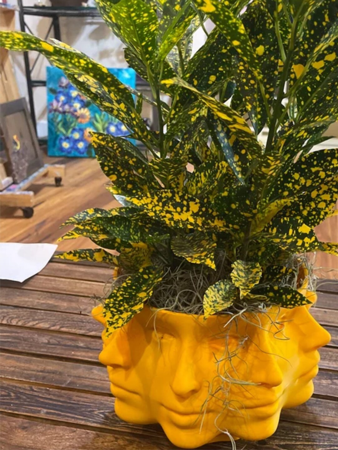 Introducing the Original Polyface Planter: Uniquely Designed for Your ...