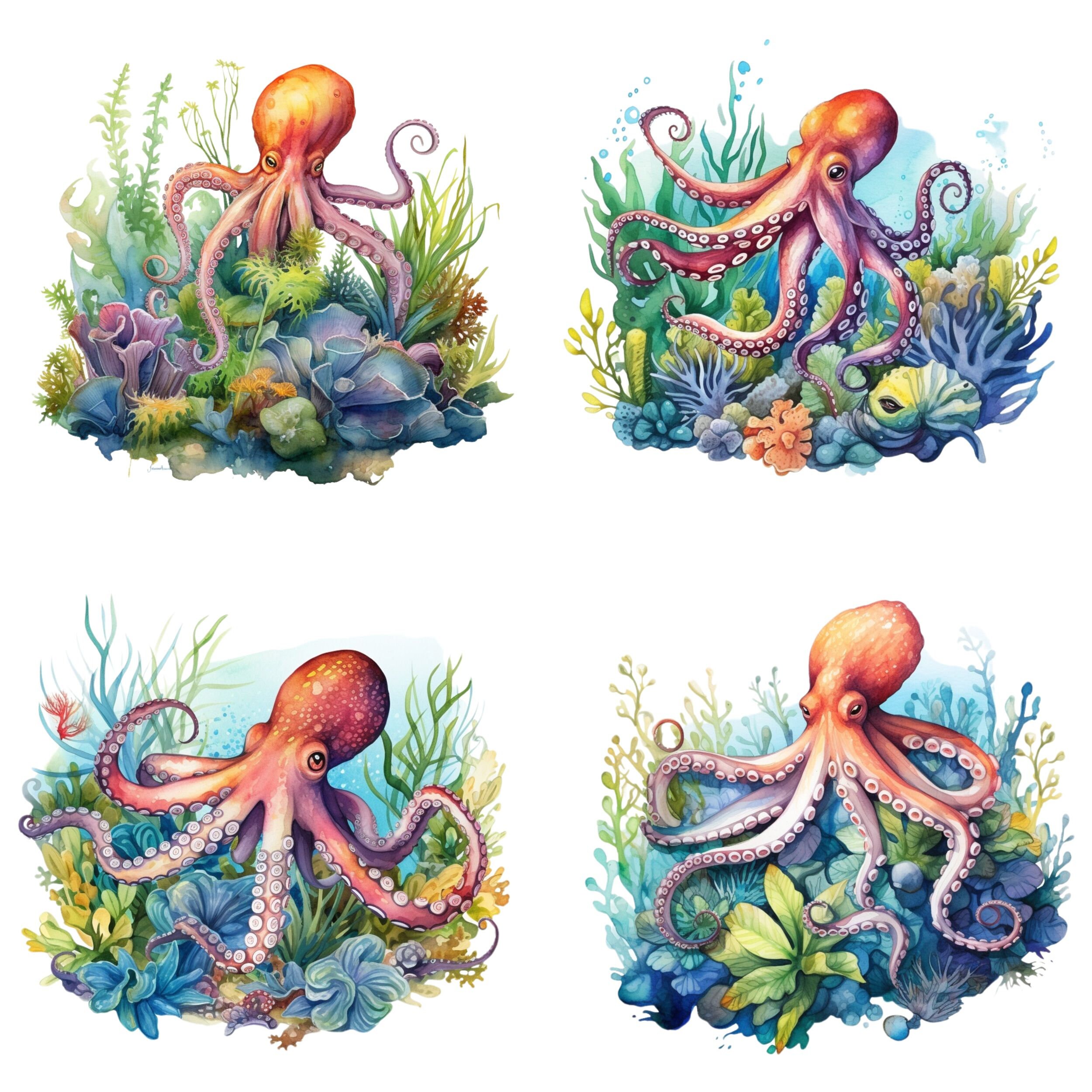 20 Watercolor Killer Whales, Dolphins, Orcas, Seahorses, Octopus, Ocean ...