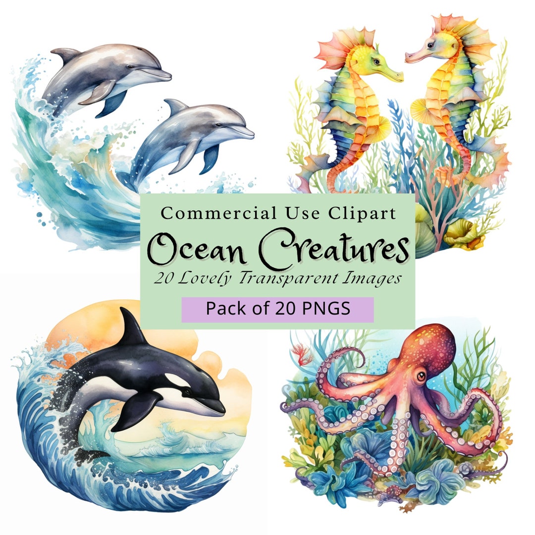 20 Watercolor Killer Whales, Dolphins, Orcas, Seahorses, Octopus, Ocean ...