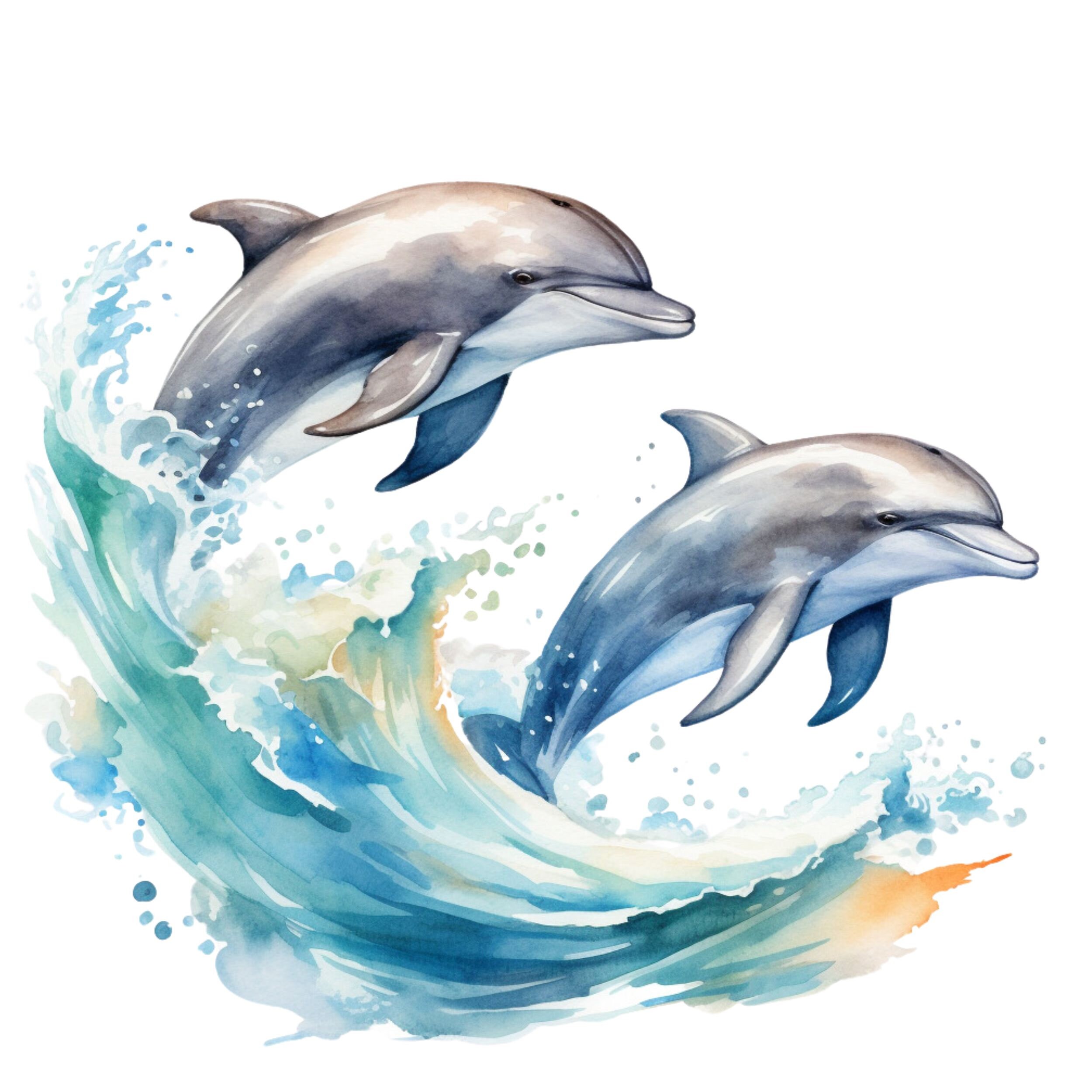 20 Watercolor Killer Whales, Dolphins, Orcas, Seahorses, Octopus, Ocean ...