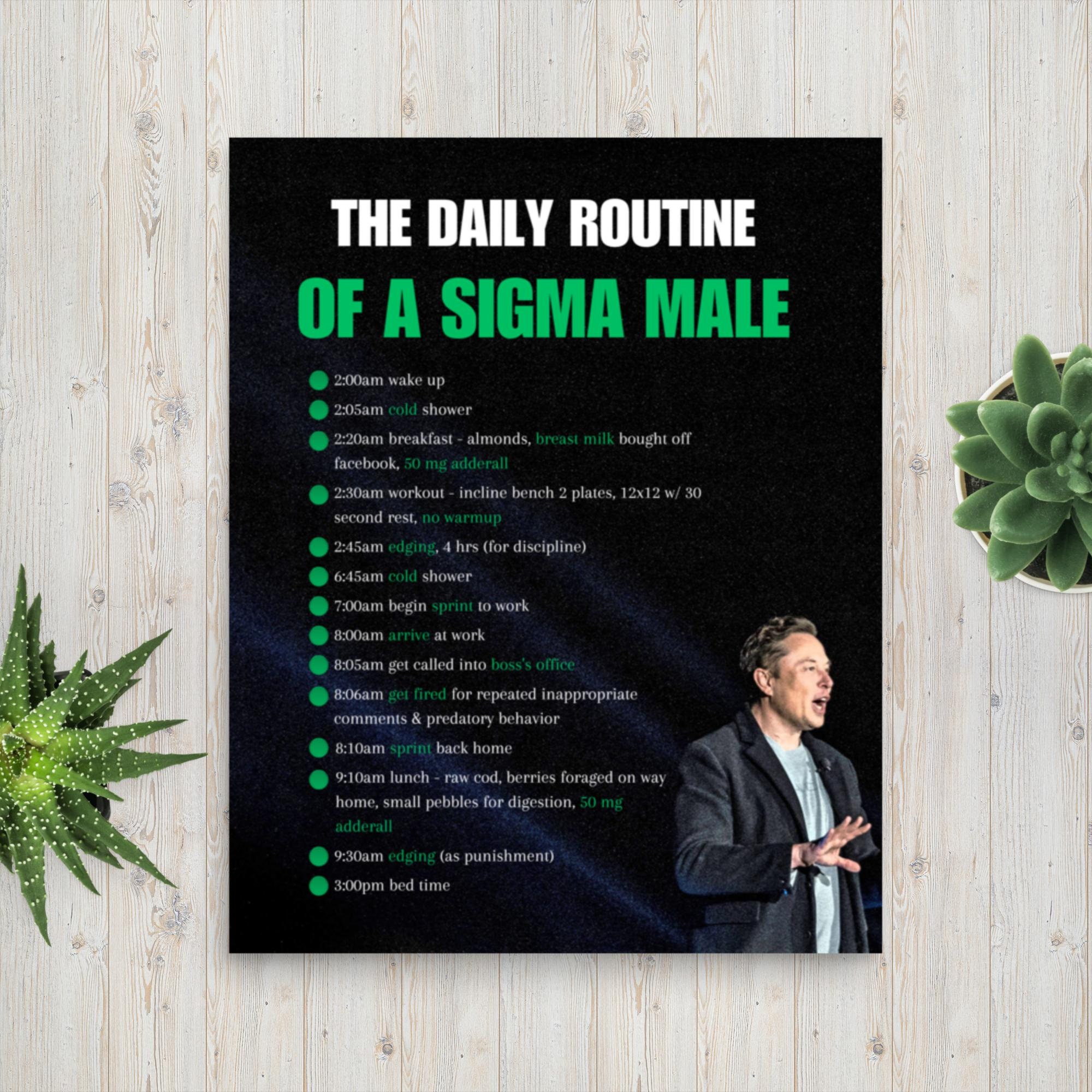 Sigma Male Poster, CEO Daily Routine Wall Art, Funny Alpha Print Design ...