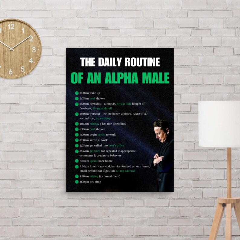 Alpha Male Poster, CEO Daily Routine Wall Art, Funny Sigma Print Design ...