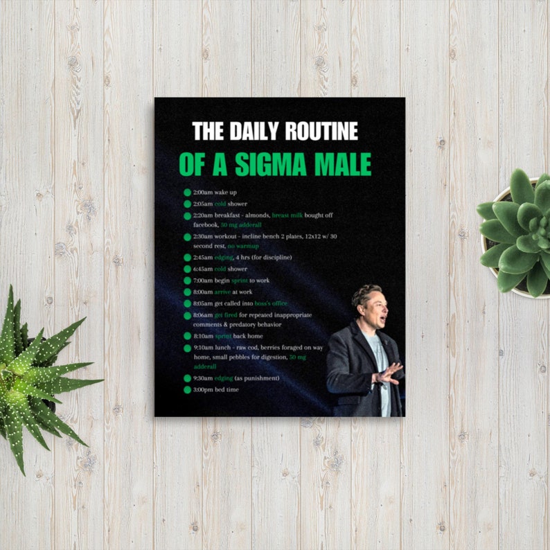 Sigma Male Poster, CEO Daily Routine Wall Art, Funny Alpha Print Design ...