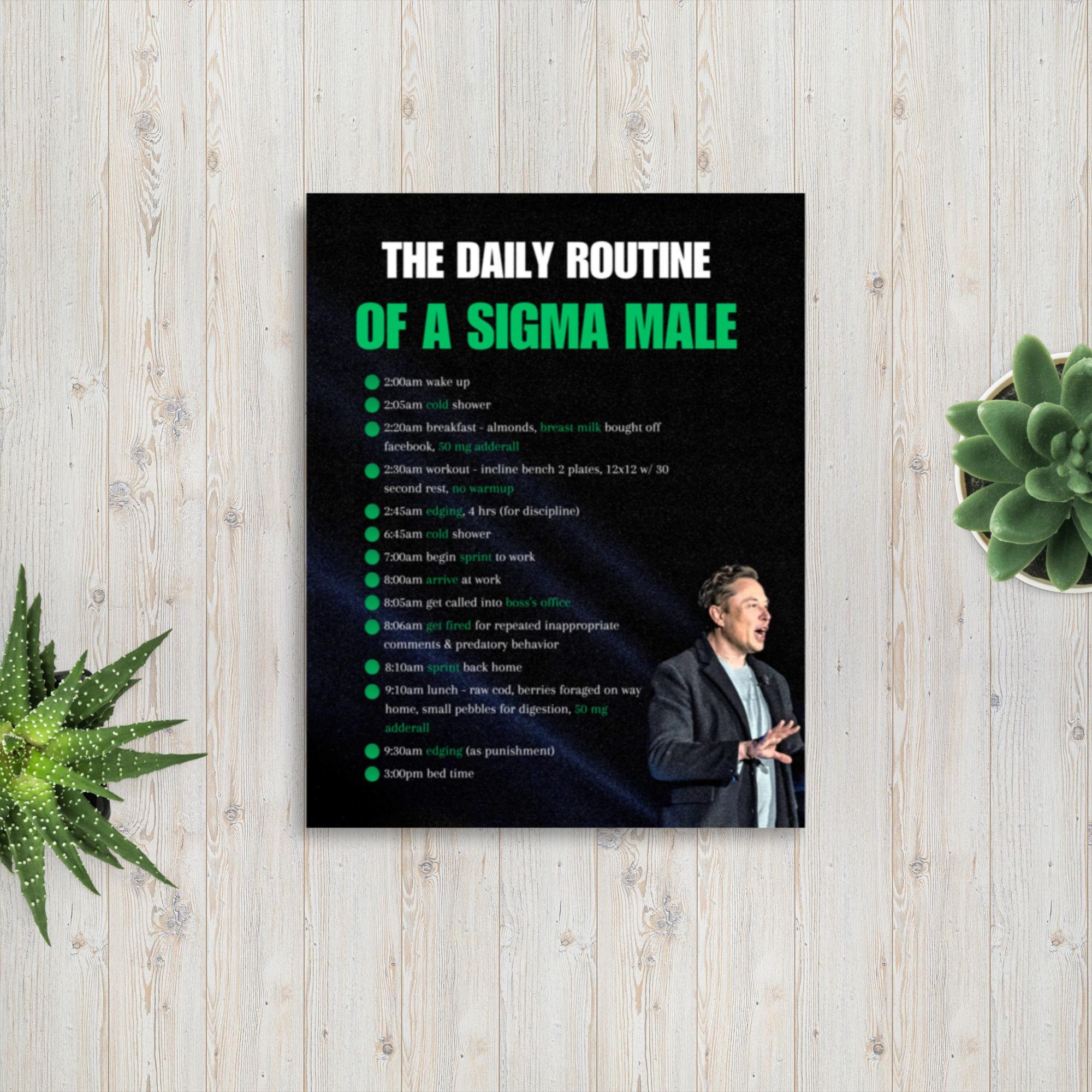 Sigma Male Poster, CEO Daily Routine Wall Art, Funny Alpha Print Design ...