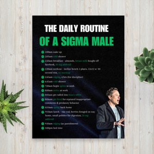 Sigma Male Poster, CEO Daily Routine Wall Art, Funny Alpha Print Design ...