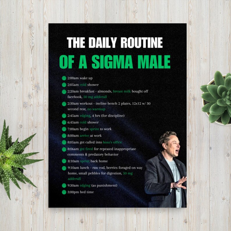 Sigma Male Poster, CEO Daily Routine Wall Art, Funny Alpha Print Design ...