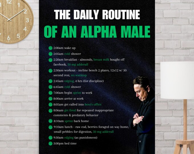 Funny College Meme Sigma Poster - Etsy