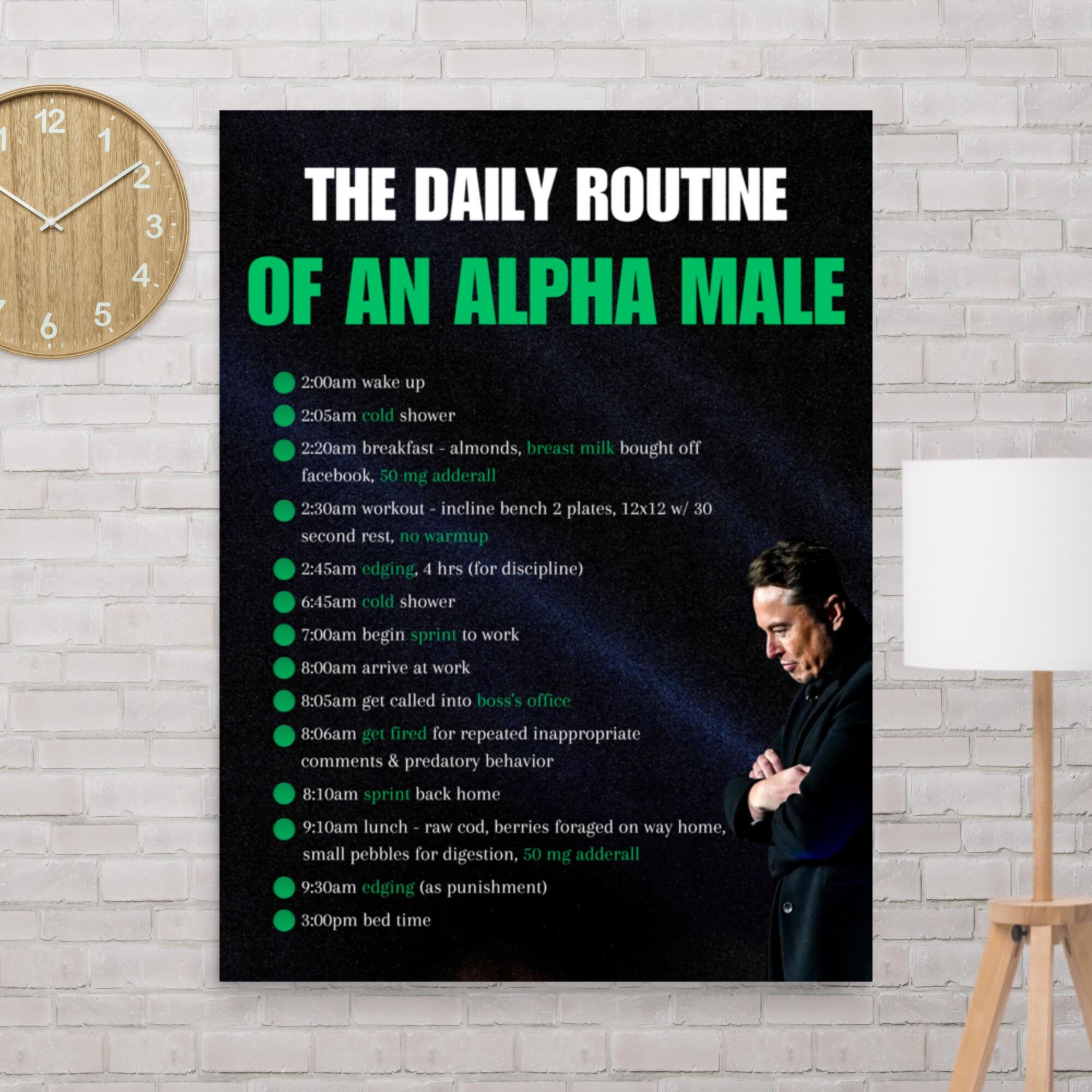Alpha Male Poster, CEO Daily Routine Wall Art, Funny Sigma Print Design ...
