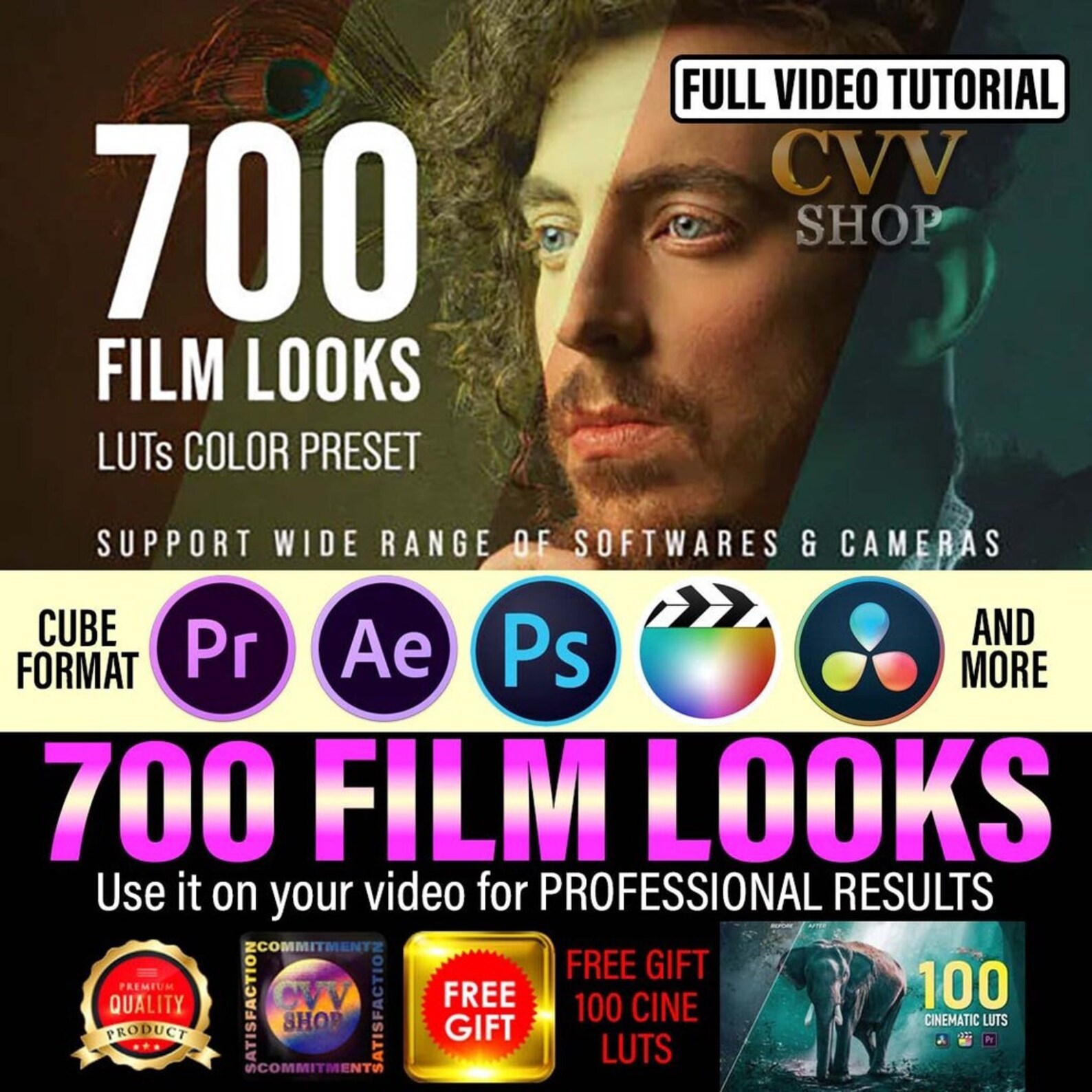 700 Film Looks LUT Color Preset Pack for Most Major Video Editing ...