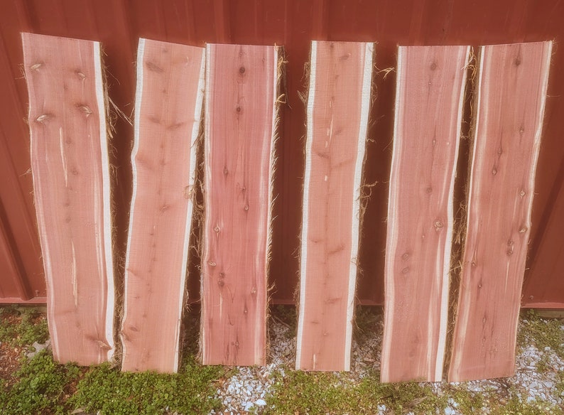 36+/-" Rough Cut Live Edge Eastern Red Cedar - Etsy
