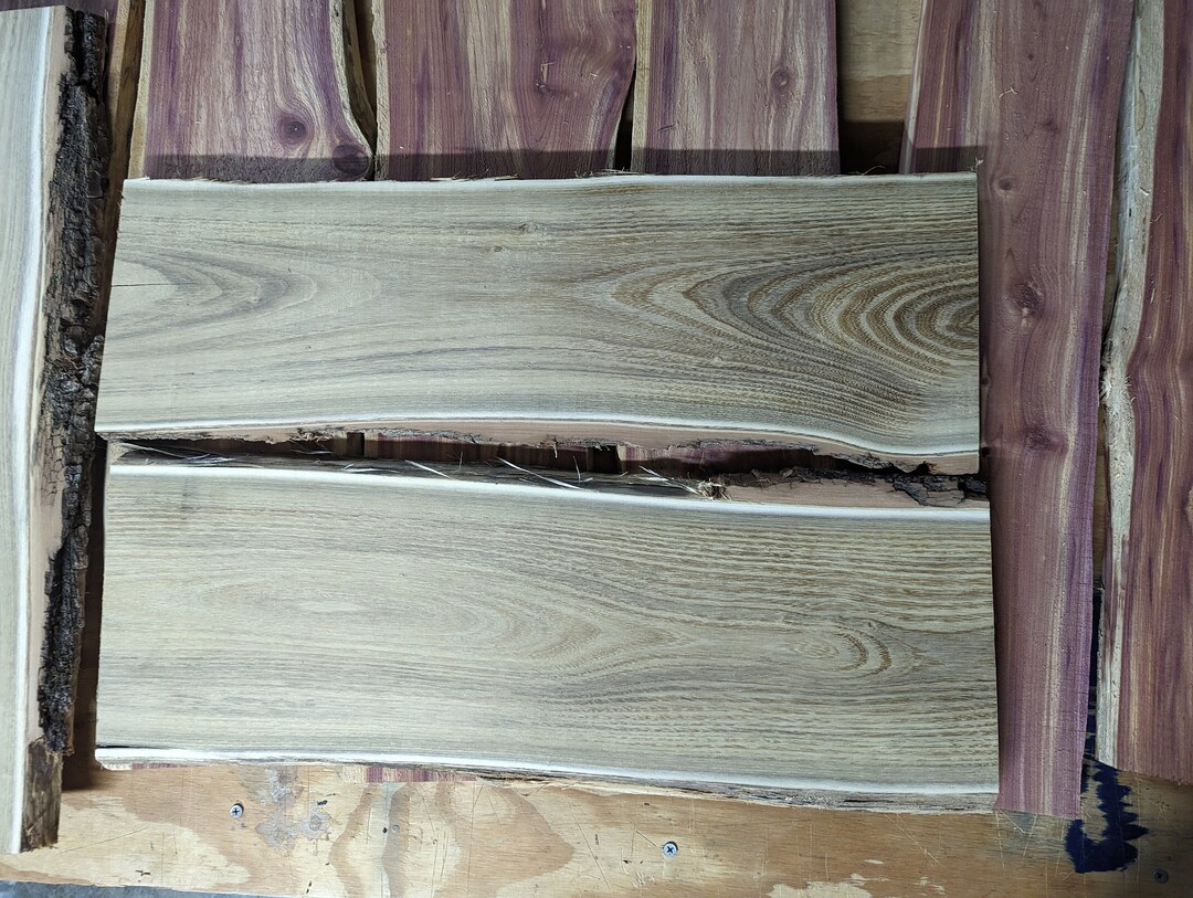 Black Locust 24" X 7/8"" Live Edge Boards - Etsy