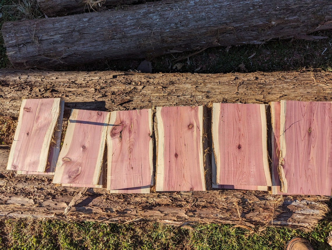 12" Planed Live Edge Eastern Red Cedar - Etsy