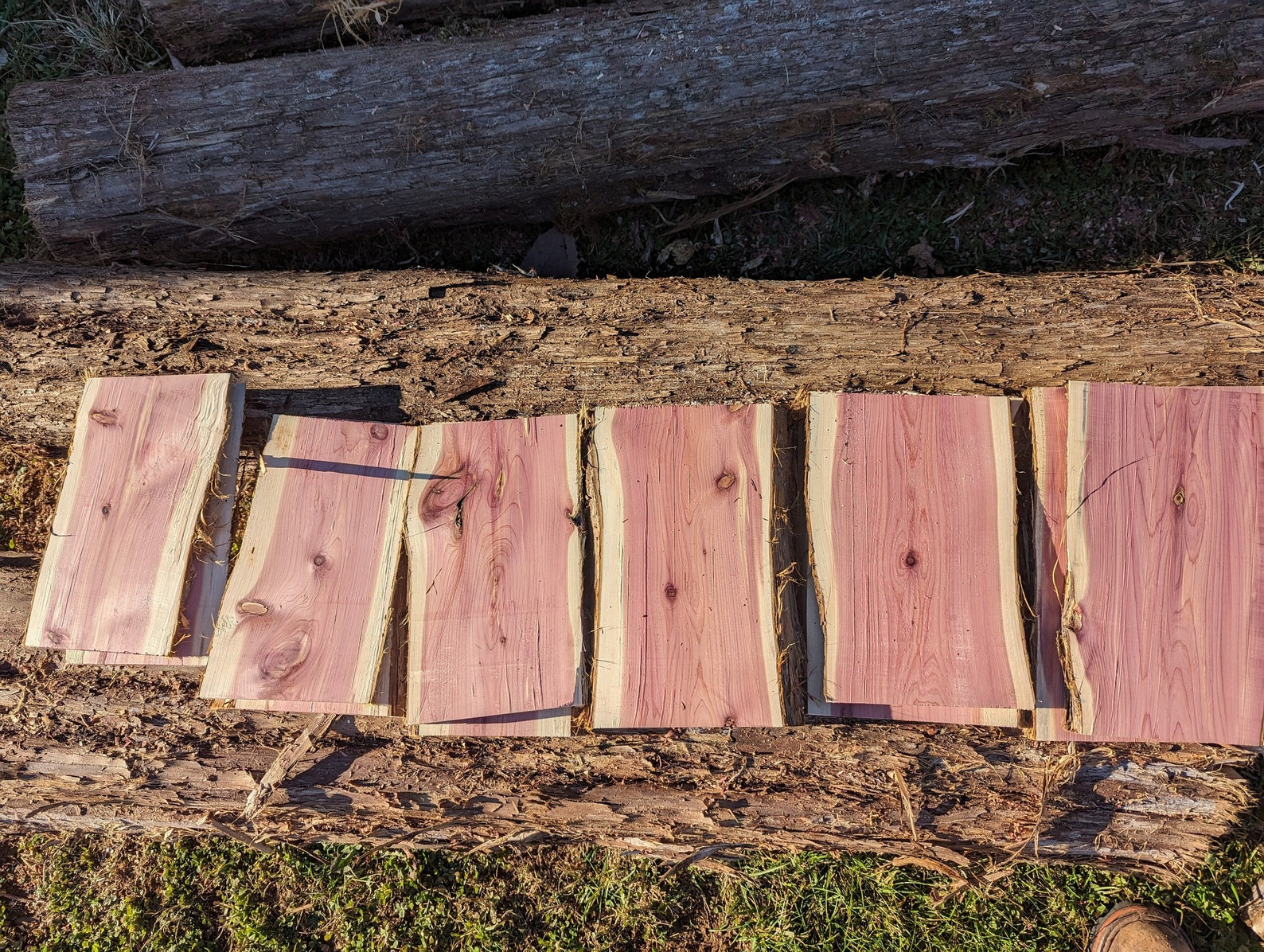 12" Planed Live Edge Eastern Red Cedar - Etsy
