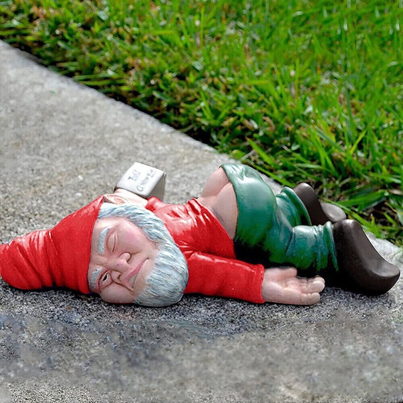 Rude Garden Gnomes - Etsy