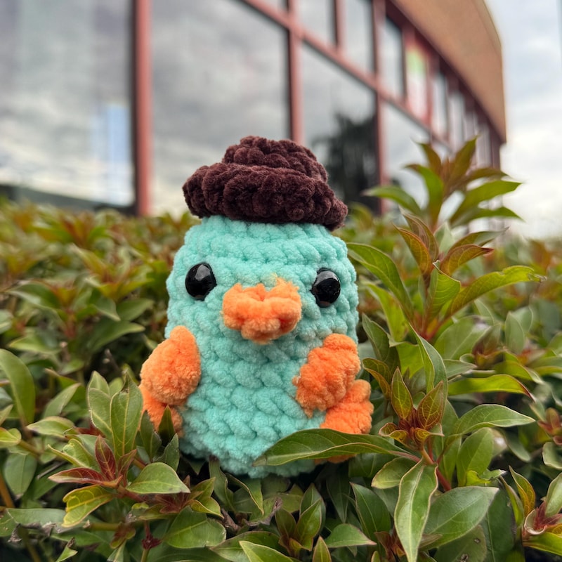 Perry the Platypus Plush - Etsy
