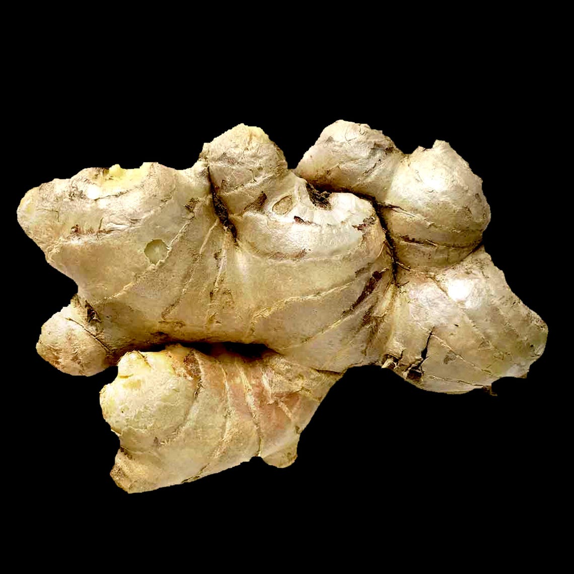 Fresh Organic Ginger-multiple Benefits - Spices - Etsy