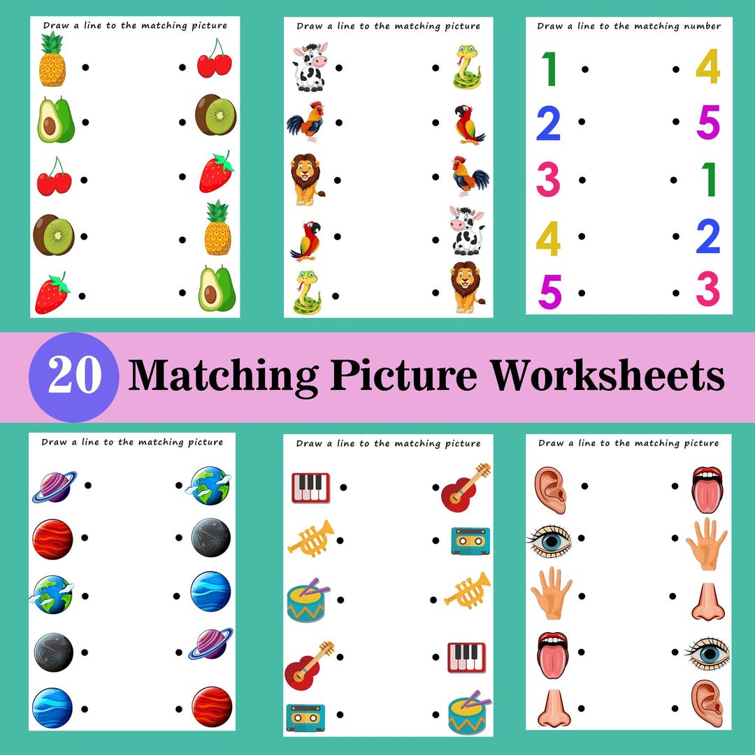 20 Pages Printable Matching Worksheets ,education for Kids, Matching ...