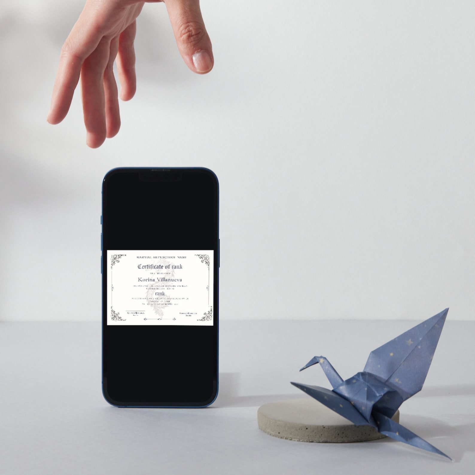 Editable Certificate of Rank, Rank Certificate, Digital Downloads ...