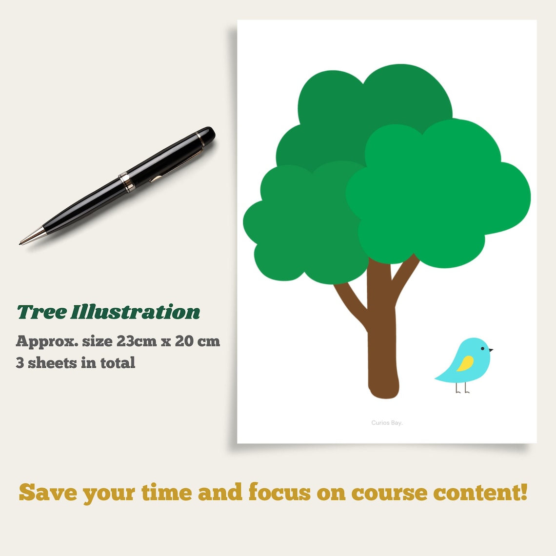 Fruits Themed Classroom Birthday Display, Birthday Bulletin Board ...