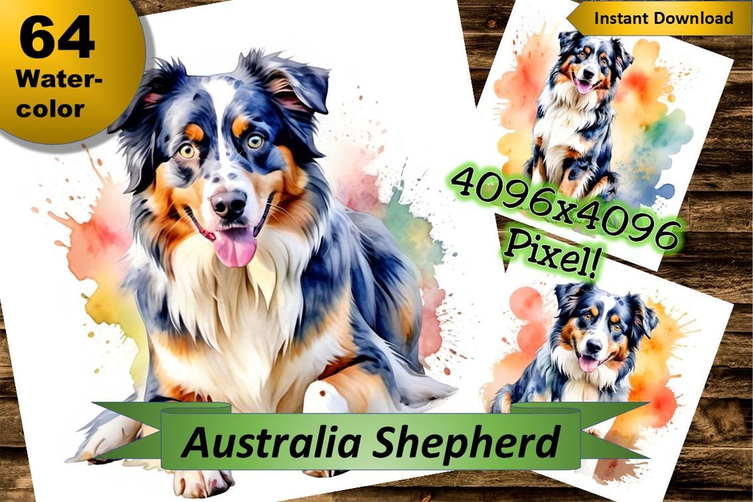 64 Watercolor Australia Shepherd Clipart, Images in JPG Format. the ...