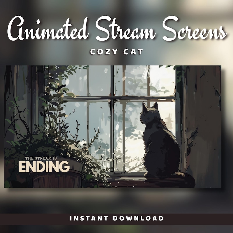 Twitch Cat Simple Overlay - Etsy