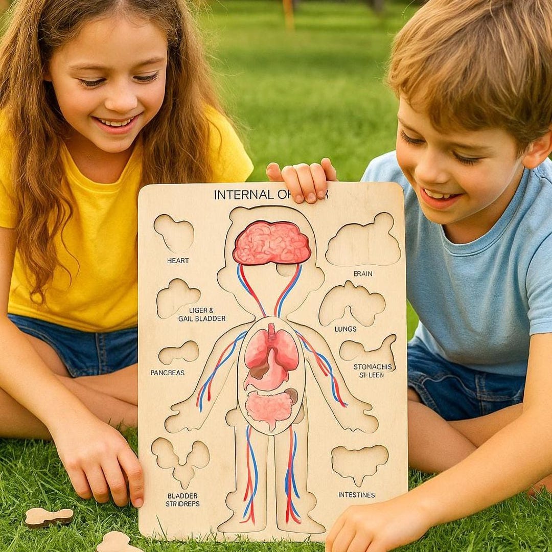 Jigsaw Human Anatomy Puzzle for Kids Educational Wooden Organ Puzzle ...