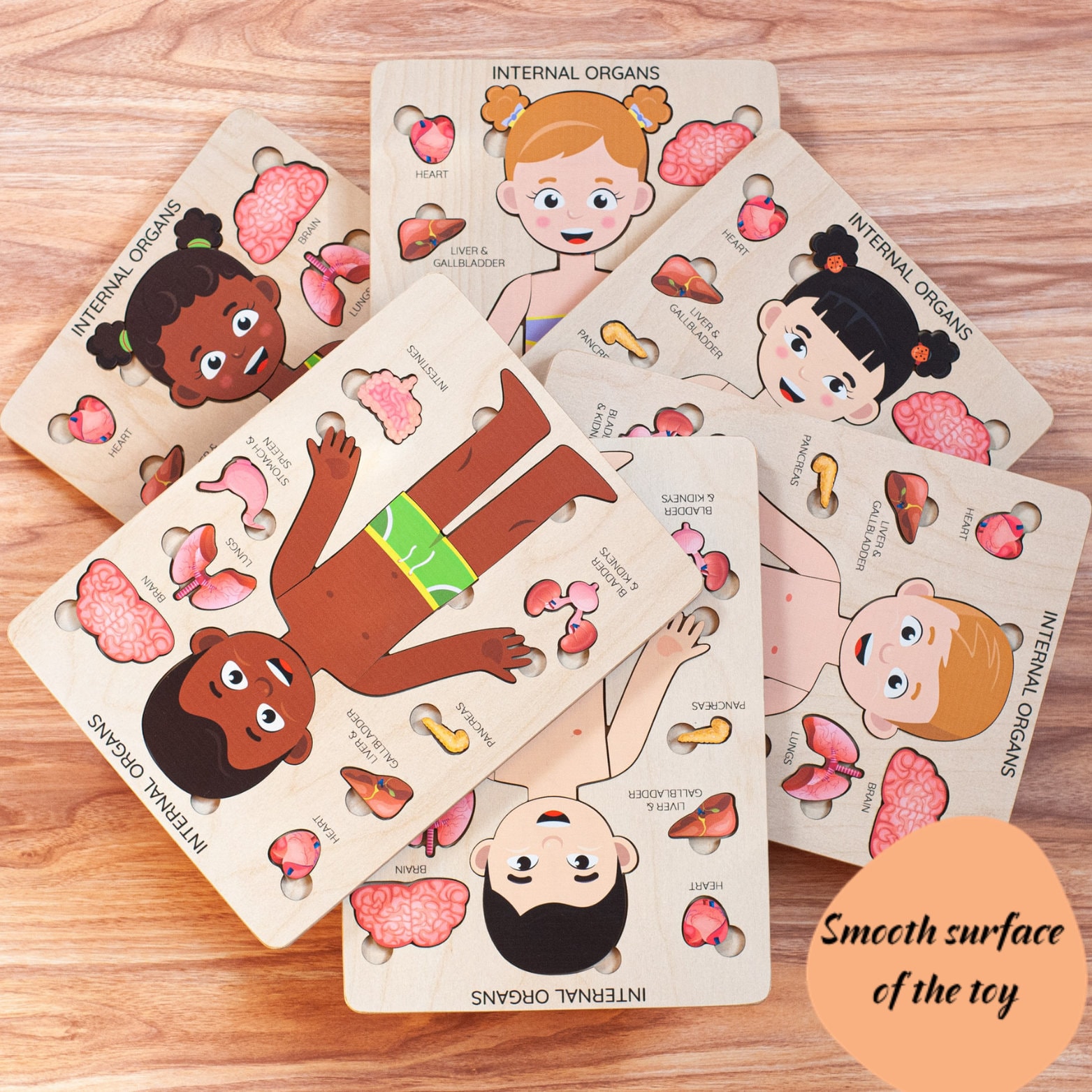 Montessori Human Body Puzzle: Educational Anatomy Toy for Kids - Etsy