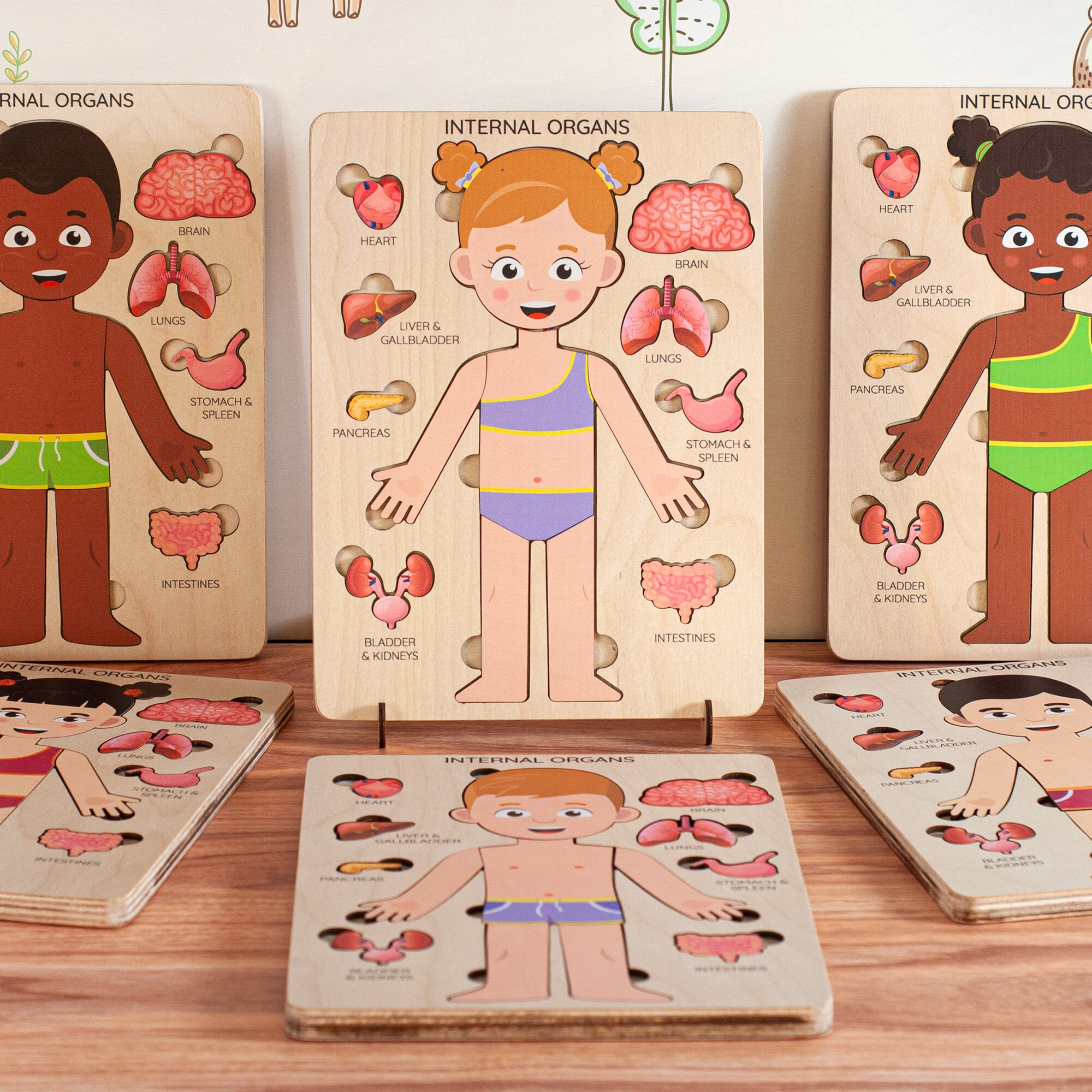 Human Body Puzzle Learning Toys Anatomy Toy Montessori Toddler ...