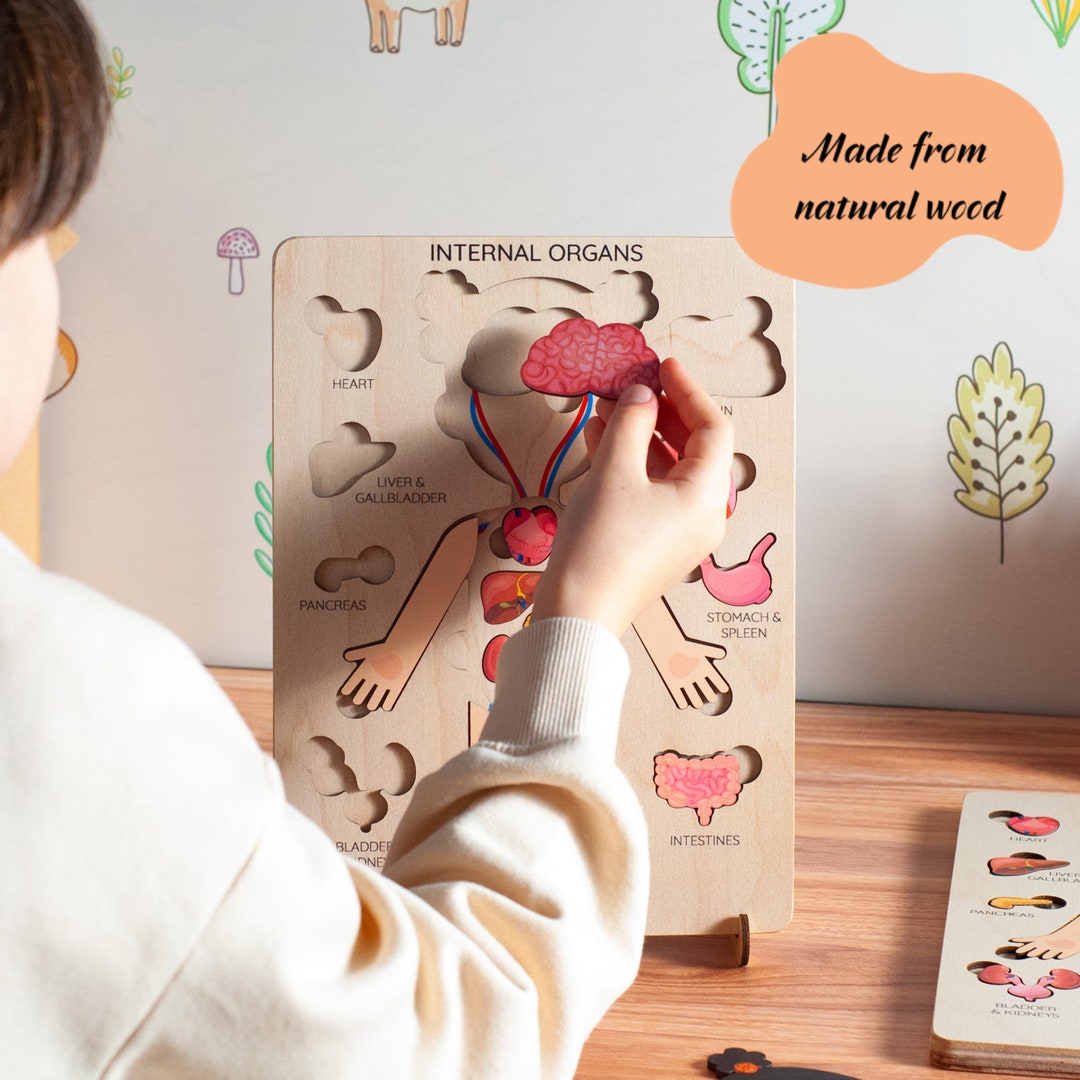 Anatomy Puzzle Educational Human Body Puzzle Anatomy Learning Toy for ...