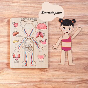 Human Body Puzzle Learning Wooden Baby Toys Toddler Activity Learning ...