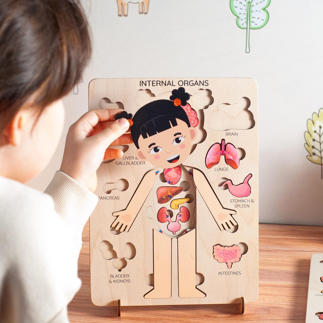 Montessori Human Body Puzzle: Wooden Anatomy Toy for Kids Learning - Etsy