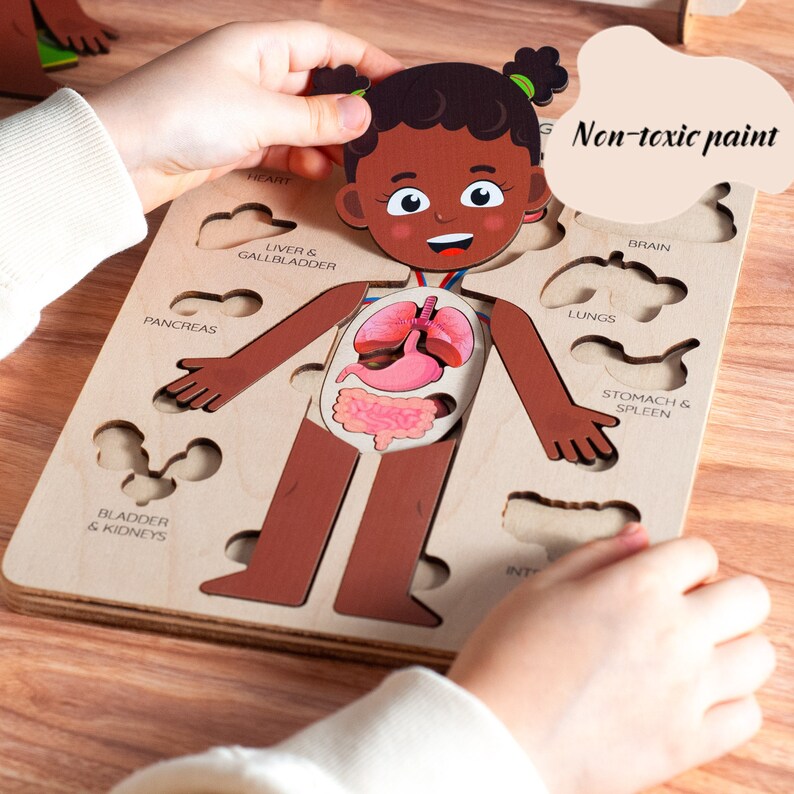 Human Body Puzzle Learning Toys Anatomy Toy Montessori Toddler ...