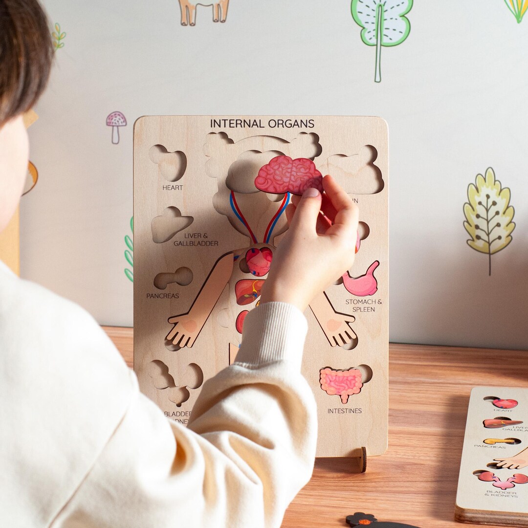 Anatomy Puzzle Montessori Human Anatomy Puzzle for Kids Learning Human ...