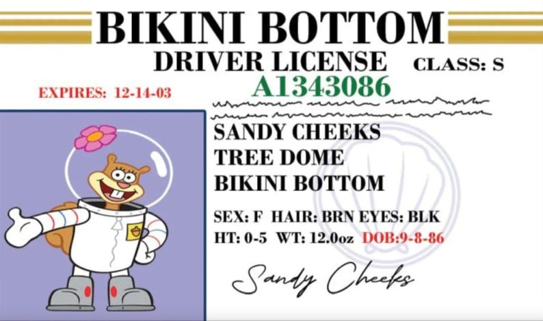 Mr.krabs,pat,gary,plankton,sandy and Spongebob Parody Prop Drivers ...