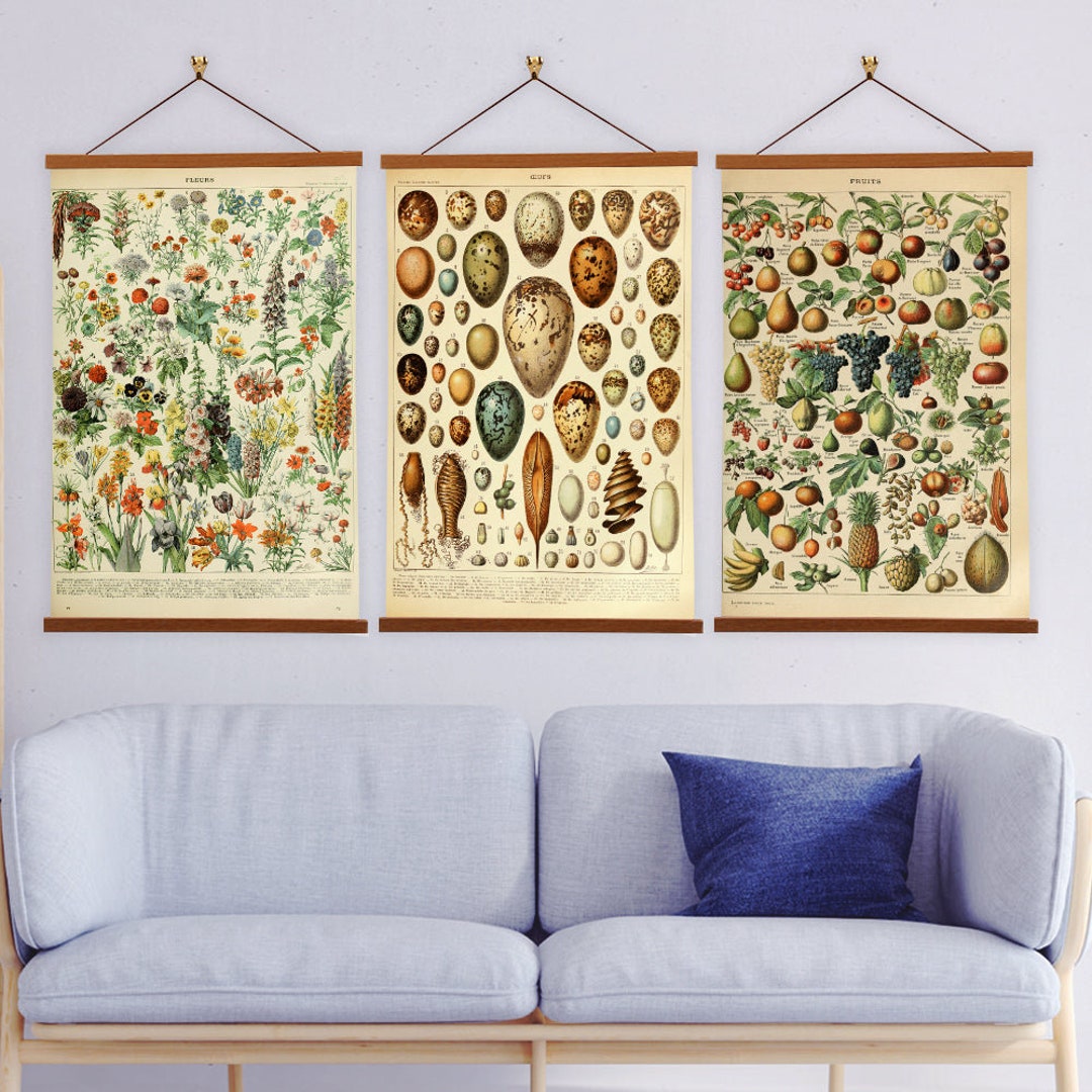 Adolphe Millot Print Set of 3 Set E - Millot Prints, Mushroom Oiseaux ...