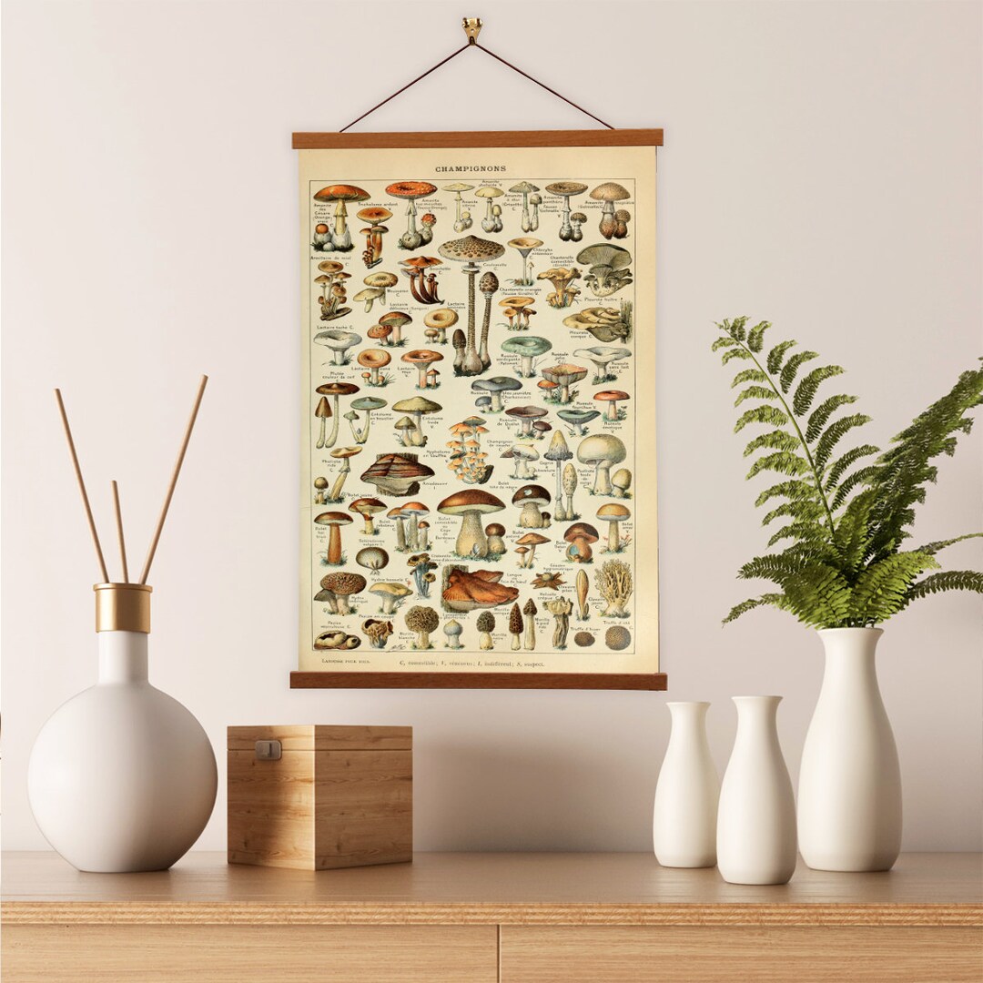 Mushrooms Poster Adolphe Millot Vintage Print W/ Frame - Vintage ...