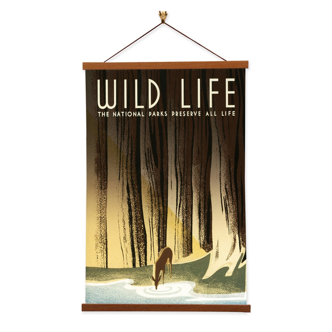 Wild Life the National Parks Preserve All Life. by Work Projects ...