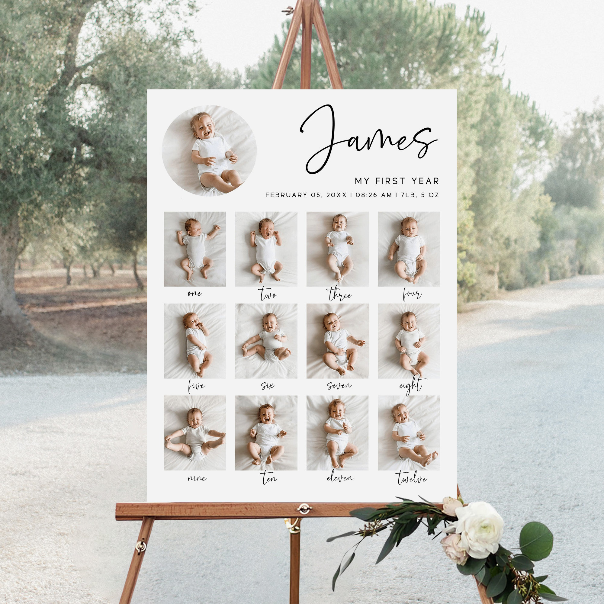 First Birthday Photo Sign, 1st Birthday Photo Poster, Baby's First Year ...